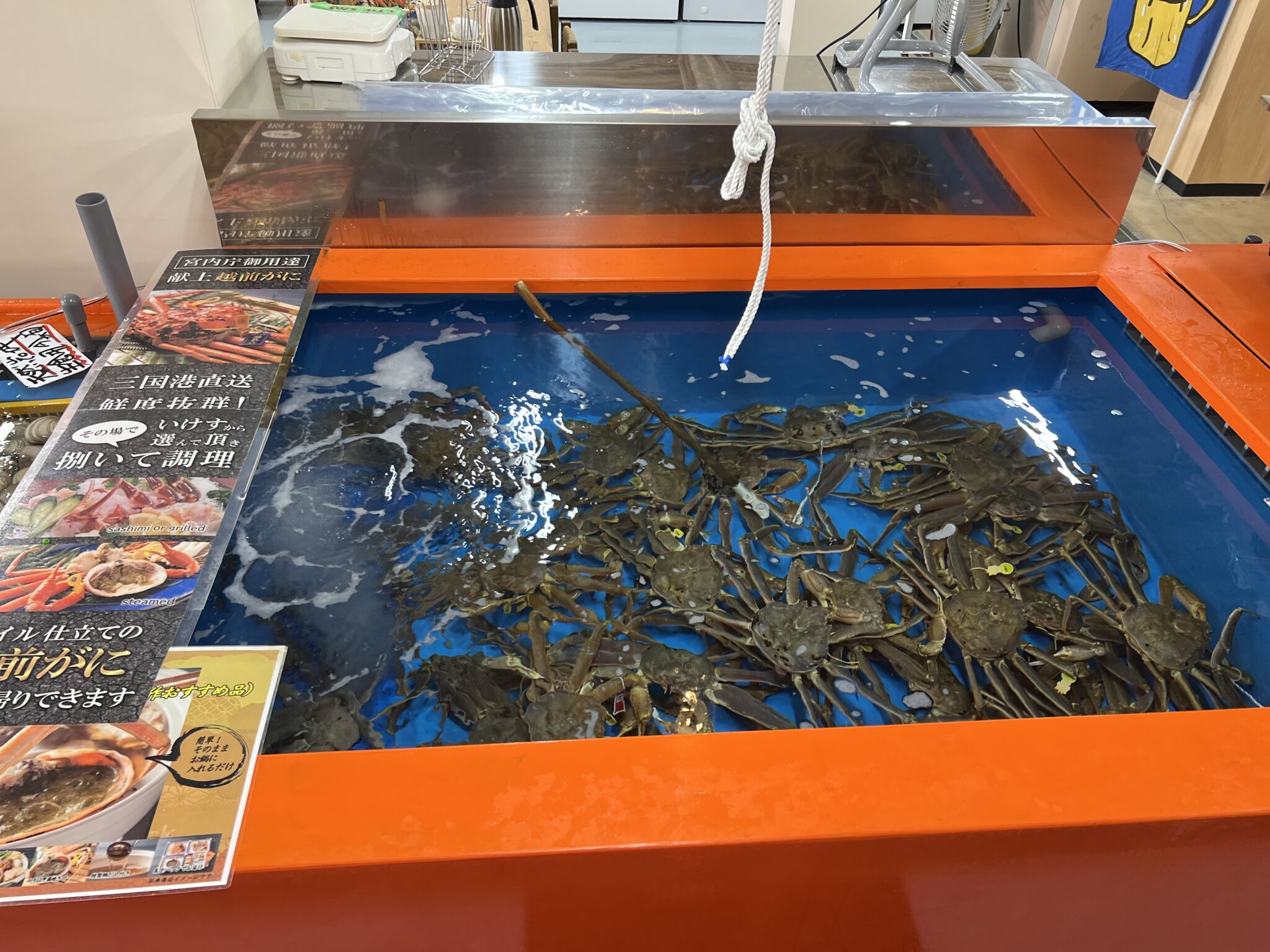 福井、東尋坊に佇む海鮮処「やまに水産 HANARE」2023年7月リニューアルオープン！ | グッチジャパンの京都最新グルメ